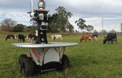 Stockmen's Livestock Market, Livestock Auction, 1200 E Highway 50